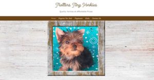 7 Best Yorkie Breeders in Oklahoma (Read This First!)